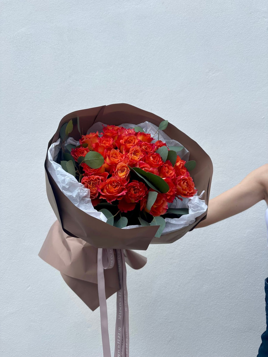 Dark Coral Expression - Two dozen beautiful premium garden roses ...